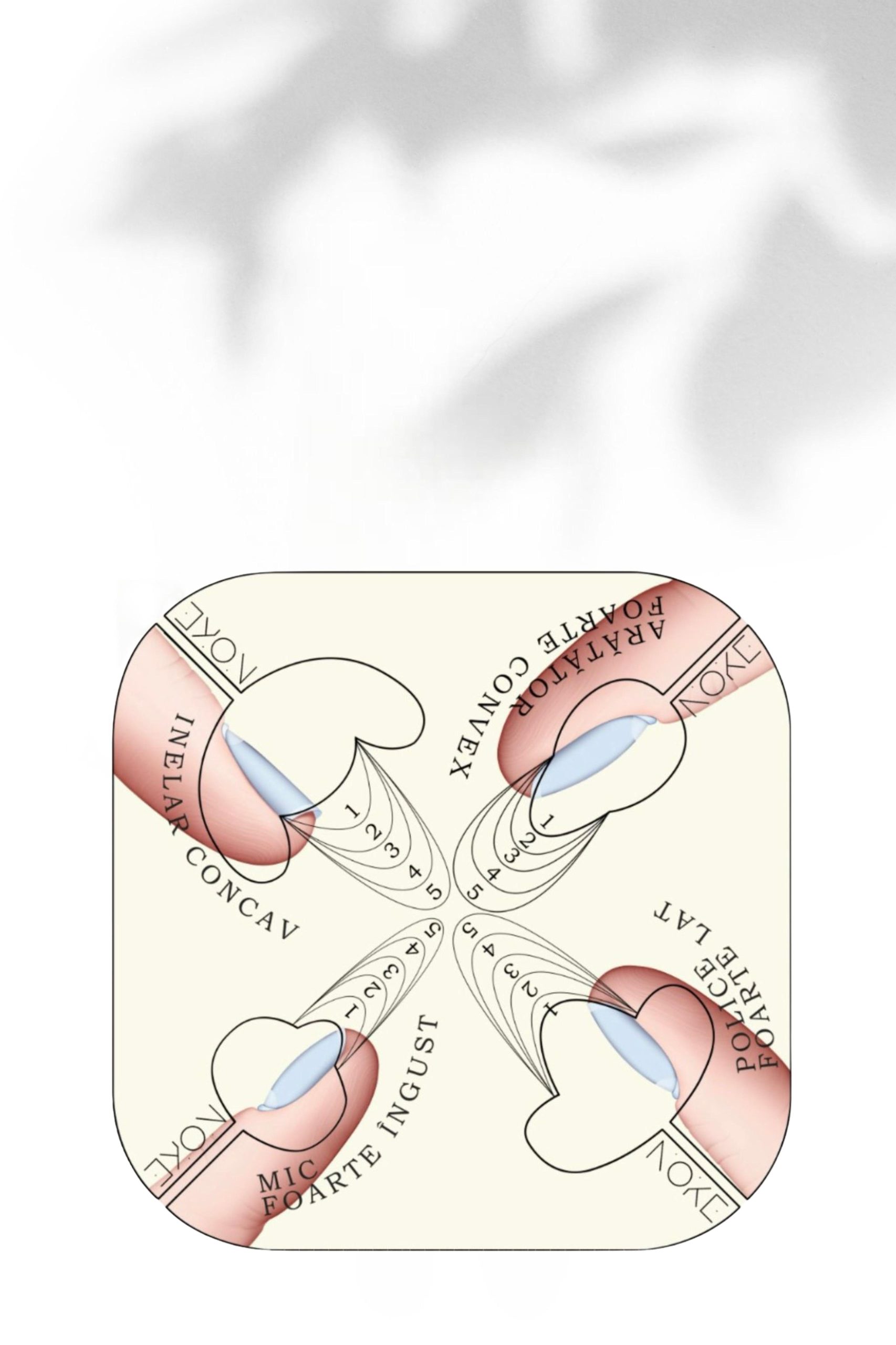 NOKE-CONCEPT-TEMPLATE-SPECIAL-SITUATIONS — Noke